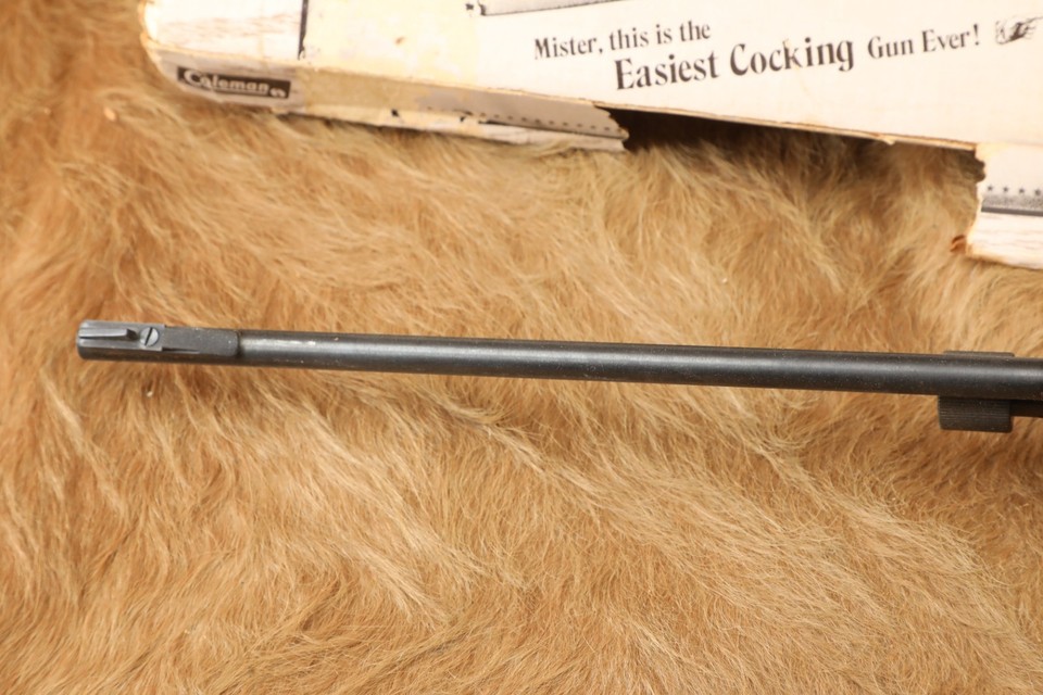 Vintage Crosman Model 73, .177 Caliber Pellet/BB Gun Air Rifle in ...