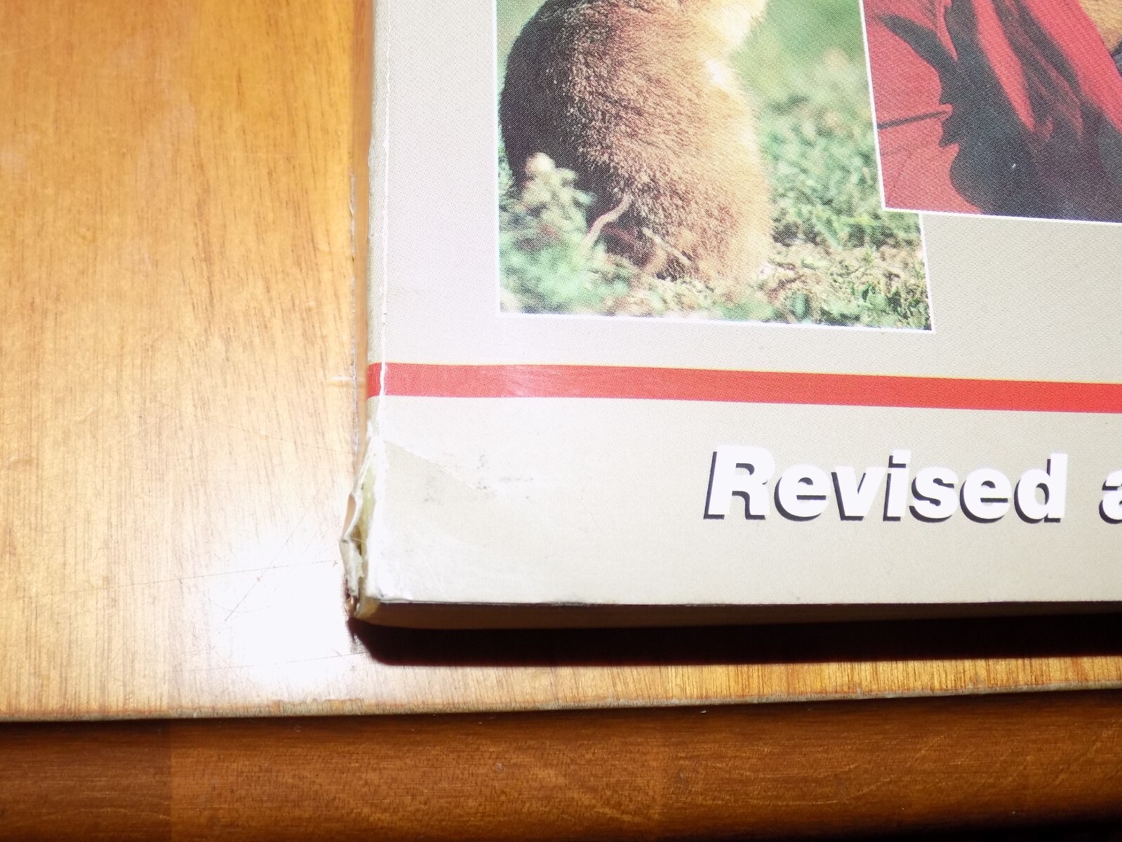 VARMINT AND SMALL GAME RIFLES & CARTRIDGES Bullets Reloading Ammo ...