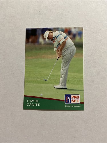 1991 PGA Pro Set PGA Tour Golf Card #173 David Canipe | eBay