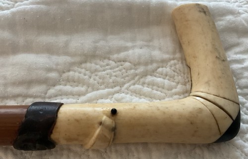 Antique Cane With Carved Bovine Cow Bone Handle | eBay