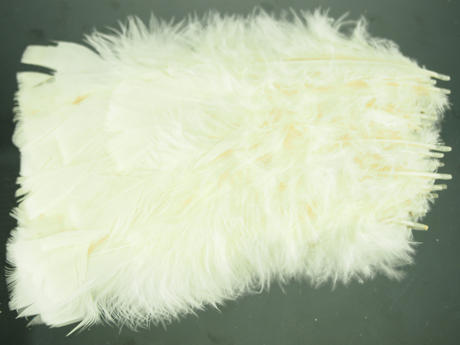 Small Feathers Quill Barb Ostrich Soft Fluffy Plumage Decoration ...