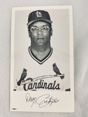 1987 St. Louis Cardinals Team Issue Baseball Photo#28-Dave Ricketts | eBay