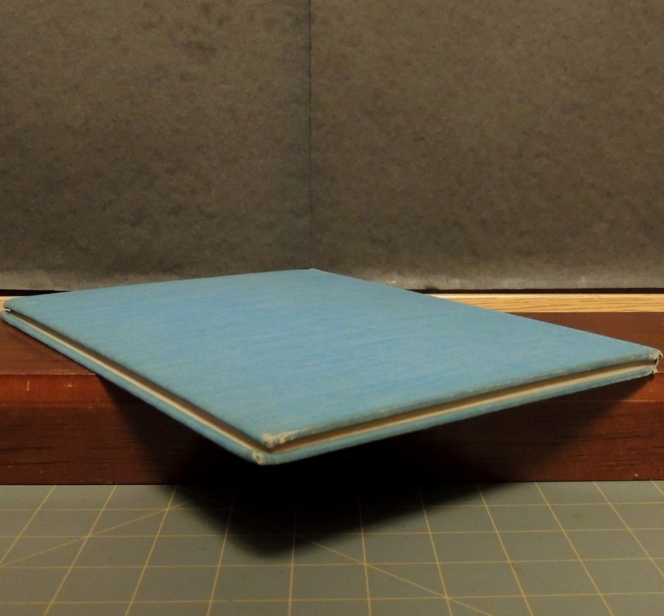 Rare The Land of the Lost Vintage 1945 Children's Book Isabel Hewson ...