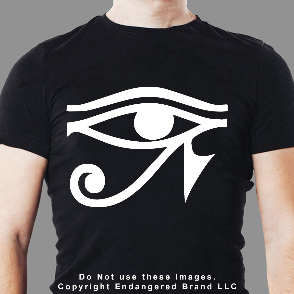 Funny Eye of Ra Isis JDM Boost Drift Fits Jeep Truck Car Sticker Decal ...