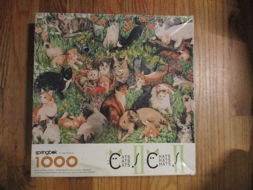 VTG Springbok CATS CATS CATS II in Flowers 1000 Pc Jigsaw Puzzle 24" x ...