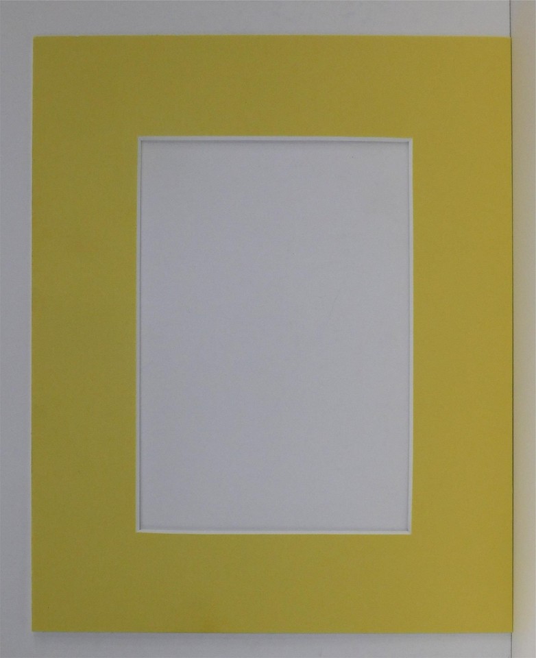 5x7 Picture Frame Framing Mat Matte for 4x6 Photo Watercolor Painting ...