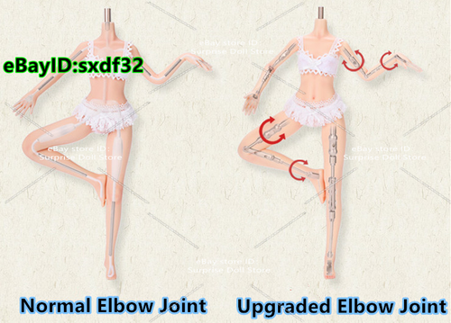 LDDOLL Boxing 1/6 Female Muscle Seamless 29cm Flexible Body Figure F 12" OB Head | eBay