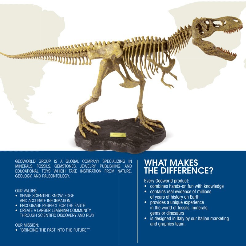 Geoworld Tyrannosaurus Rex Dinosaur Skeleton Fossil Model Decor Animal ...