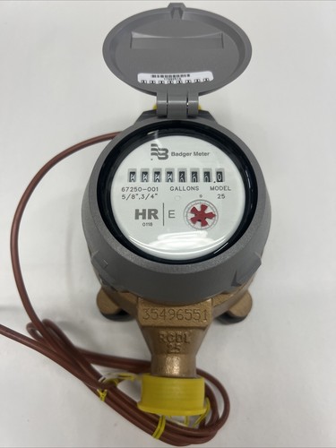 Badger 5/8x3/4 M25 Brass Water Meter Hre Gallon Register | eBay