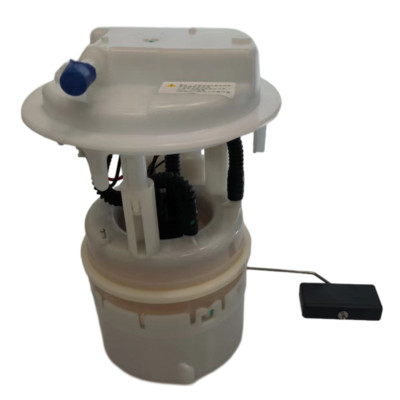 9632672080 9640887180 For Peugeot 307 Citroen C4 C5 Fuel Pump Module ...