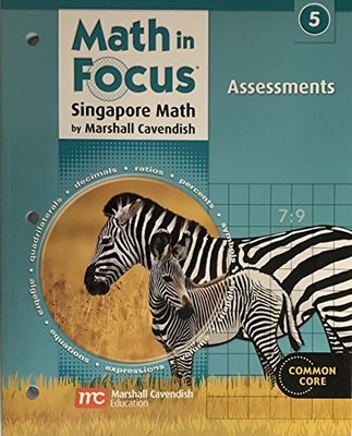 MATH IN FOCUS: SINGAPORE MATH: ASSESSMENT GRADE 5 By Great Source | eBay