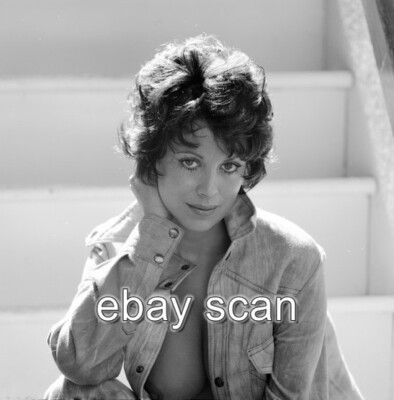 PHYLLIS DAVIS VEGAS BEAUTY BUSTY CHEESECAKE 8X10 PHOTO 38 | eBay