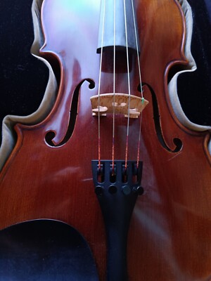H. Luger CV500 Violin with Black And Beige interior case and bow | eBay