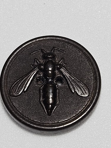 Antique Goodyear Rubber Button Company Wasp Button 1850s! | eBay