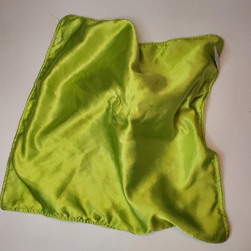 Okie Dokie Green Minky Dot & Satin Brown Monkey Security Blanket Lovie ...