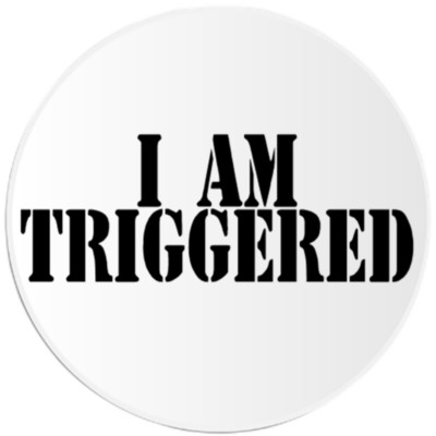 I Am Triggered - 10 Pack Circle Stickers 3 Inch - Trigger Warning | eBay