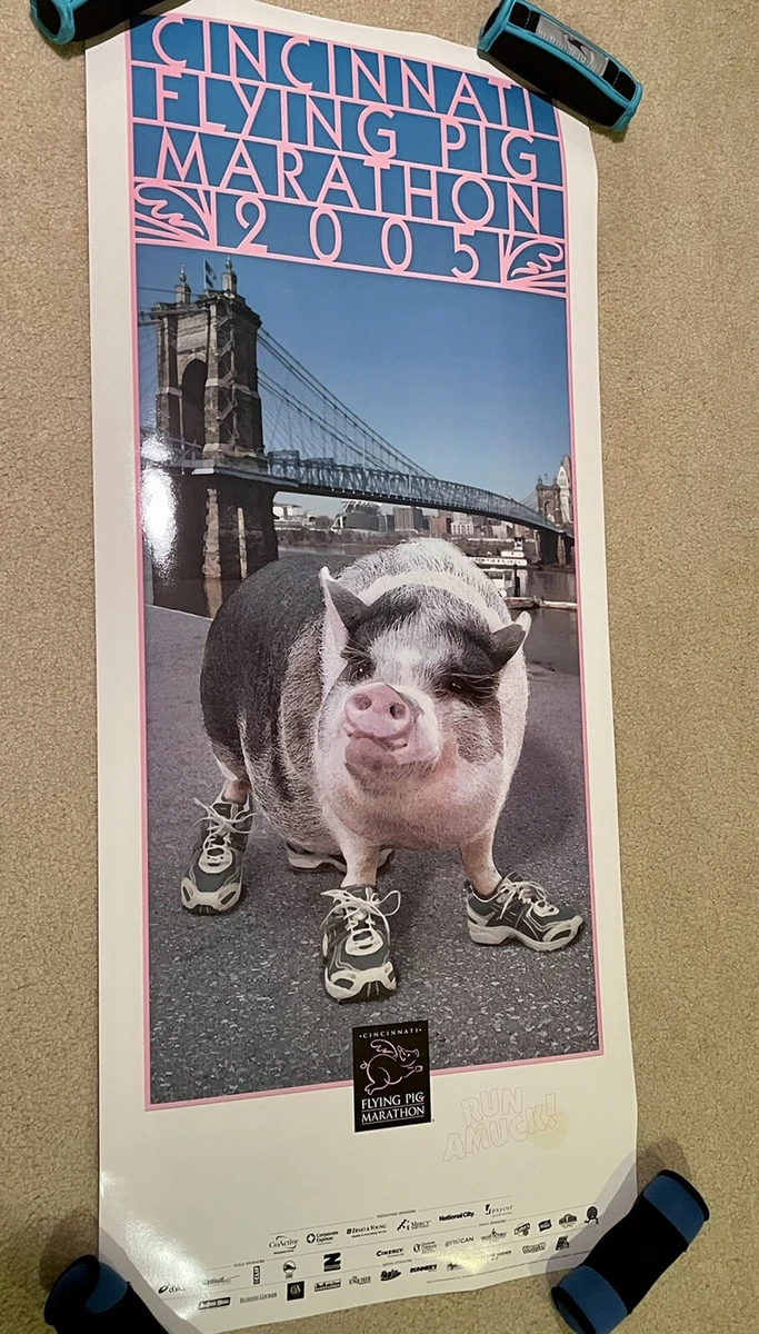 Flying Pig Poster