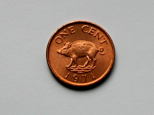 Bermuda 1971 1 CENT Elizabeth II Coin AU++ with Lustre & Wild Boar (Pig ...