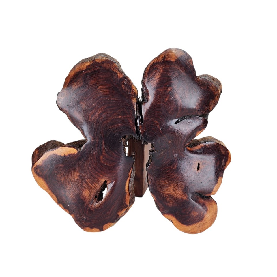 Hand-Made Natural Burl Root Wood Rustic Organic Live Edge Sculpture 13 ...