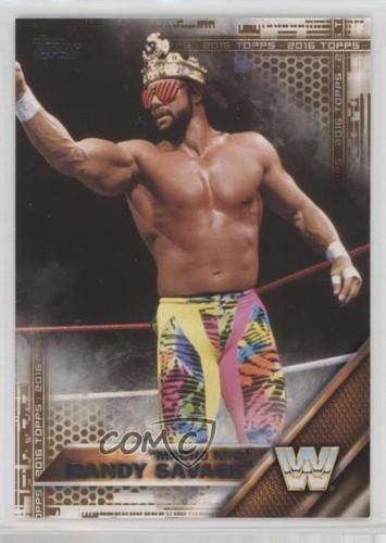 2016 WWE Tag Team Championship Bronze Macho King Randy Savage #75 Patch ...