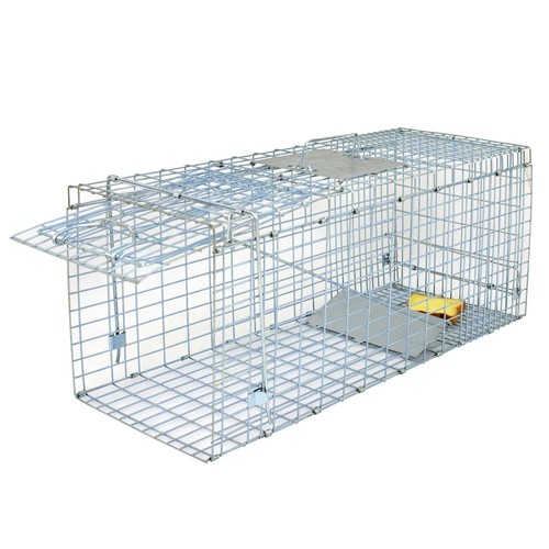 Animal Trap | 32"x12.5"x12" Large Steel Cage Spring Loaded Humane ...
