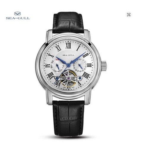Seagull Men's Watch Automatic Mechanical Multi-Function Hollow Flywheel ...
