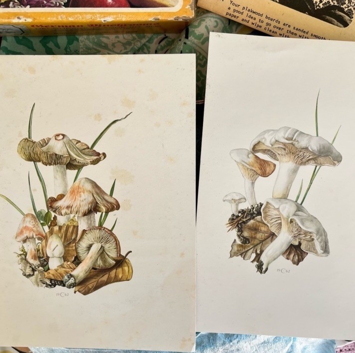 VINTAGE 70s Mushroom Decoupage Kit Craft Art Wall Plaque Decor Set of 2 ...
