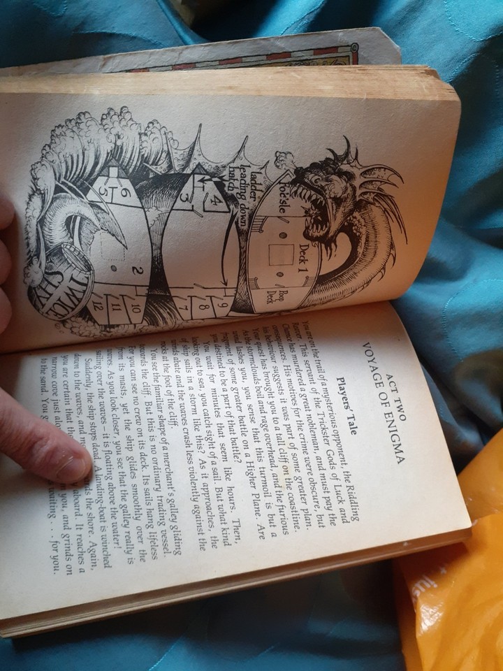 THE RIDDLING REAVER - Steve Jackson's legendary Fighting Fantasy Book ...