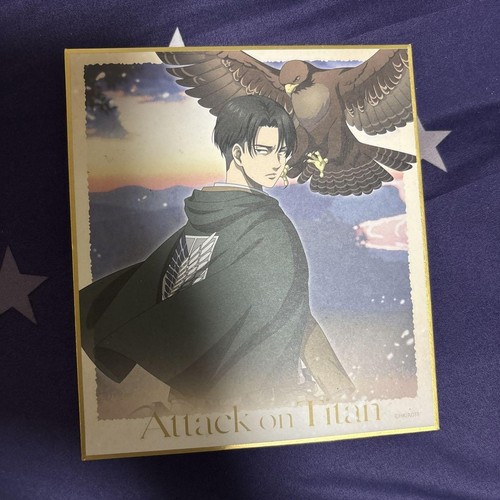 Attack on Titan Captain Levi Color Paper | eBay