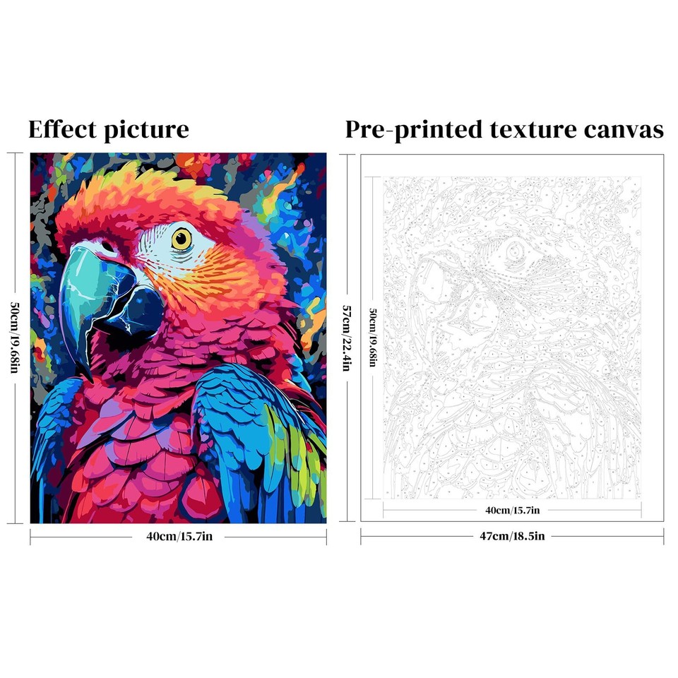 Parrot Paint by Numbers for Adults Beginner,AnimalsPaint by Number Kits ...