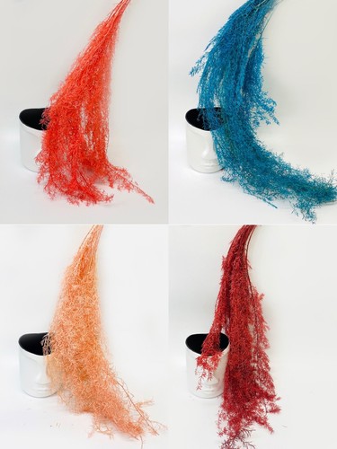 Preserved Fox Tail Dried Flowers Home Wedding Bouquet Decor | eBay