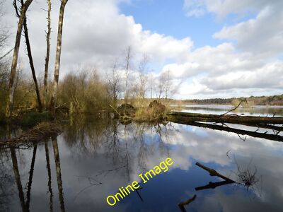 Photo 6x4 Blakemere Moss, Delamere Forest Hatchmere c2014 | eBay UK