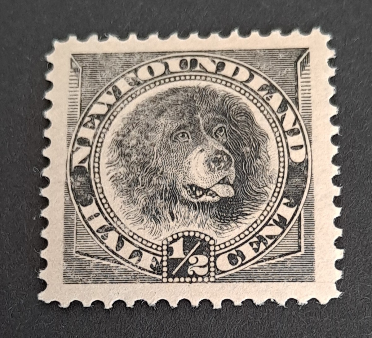 Newfoundland 4 Cent Stamps
