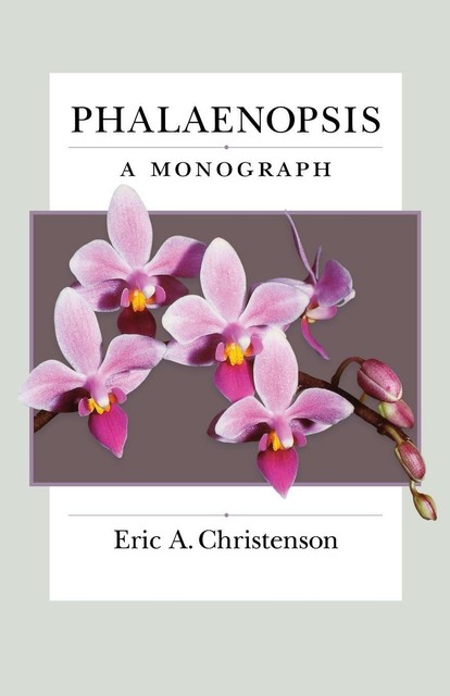 Phalaenopsis von Eric A. Christenson (2009, Taschenbuch) online kaufen ...
