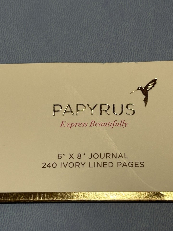 PAPYRUS Blue Ruled Gilded Notebook Journal 240 Ivory Lined Pages ...