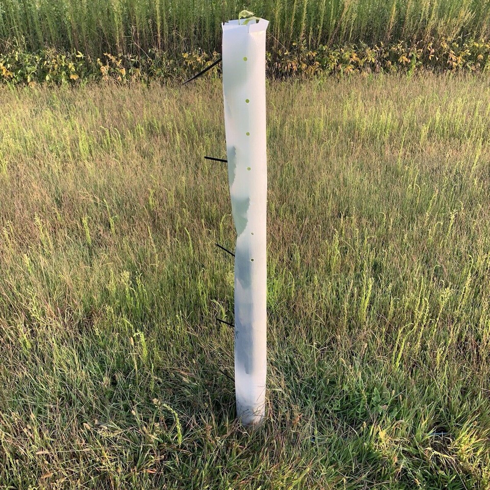 (50) 30" TREE PRO TUBES SHELTER MIRACLE PROTECTORS, Full-Open for Mgmt ...