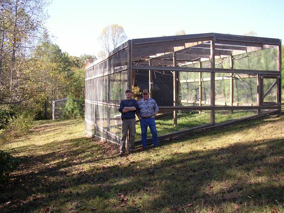 Knotted Nylon Aviary Poultry Pen Quail 1" Netting Game Bird Pheasant 12 ...