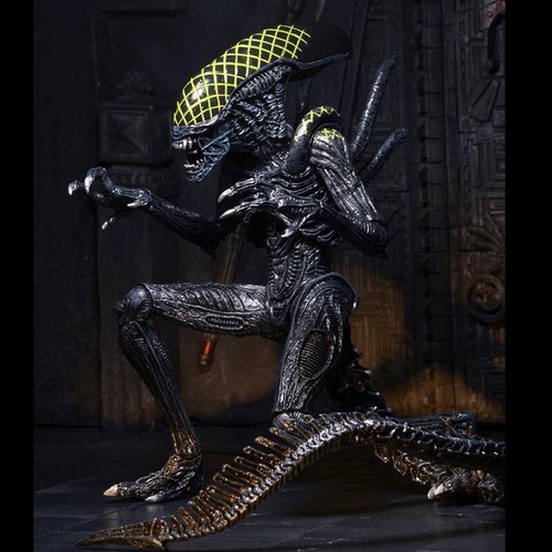 NECA Grid Alien Xenomorph Warrior AVP 7" Action Figure 1:12 Aliens ...