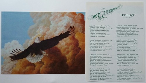 Eagle Art & Poem Harry J. Moeller James Gates Percival | eBay
