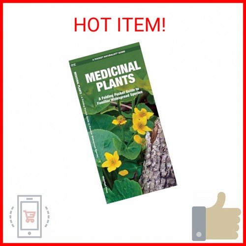 Medicinal Plants: A Folding Pocket Guide to Familiar Widespread Species ...