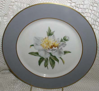 Princess China Golden Peony Dinner Plate Excellent Condition | eBay