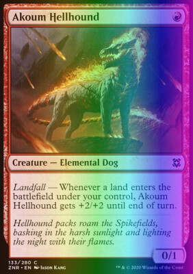 MTG Magic the Gathering Akoum Hellhound (133/457) Zendikar Rising LP ...