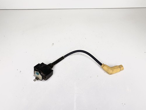 1990 - 2003 Honda XR80 CRF80 Ignition Coil Pack Spark Plug Electrical ...