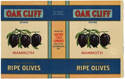 OAK CLIFF Brand, Golden State Canneries *AN ORIGINAL 1910s OLIVE CAN ...