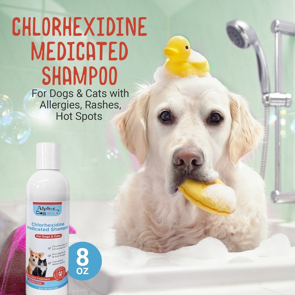 ALPHA DOG SERIES Chlorhexidine & Ketoconazole Shampoo with Aloe for ...