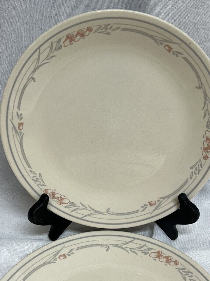 2 Corelle Rose 10.25 Dinner Plates Gray Band Pink/Peach Flowers 80-90s ...