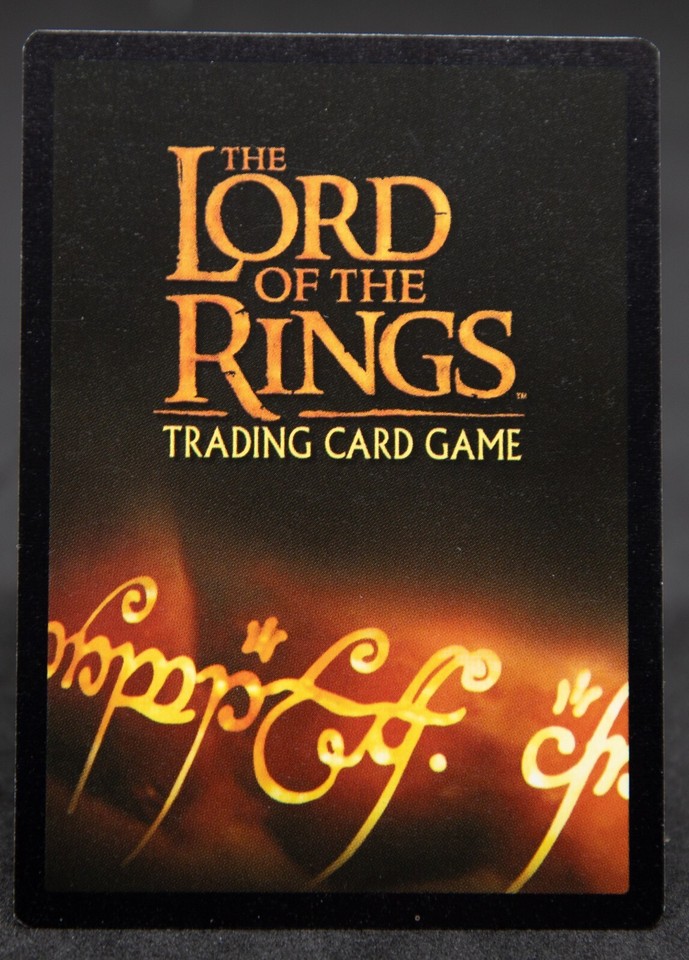 DUNLENDING RANSACKER Foil Common 2001 LOTR The Fellowship of the Ring ...