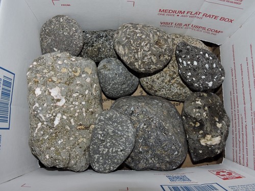 14lbs Lot of PORPHYRY BASALT & Agatized Rhyolite Stones w/ INCLUSIONS ...