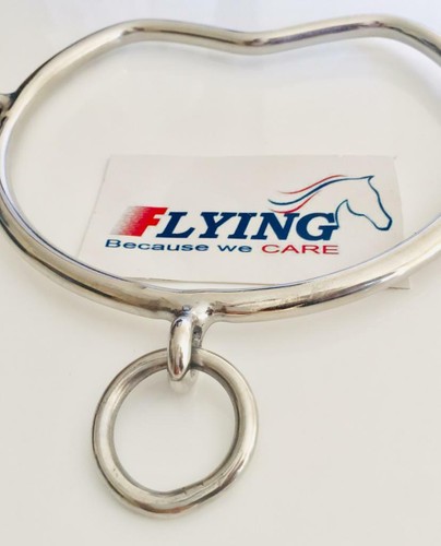 Equestrian Chifney Anti-Rearing Stainless Steel Horse Bit, Tack (UK ...