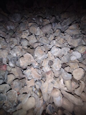 60 Lbs Range Lead For Making Bullion Ingots Bars Investment Defense | eBay